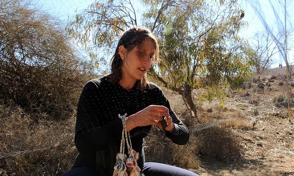 ላሃቭ ጫካ፡ የአእዋፍ ቦታ በአይን ሪሞን