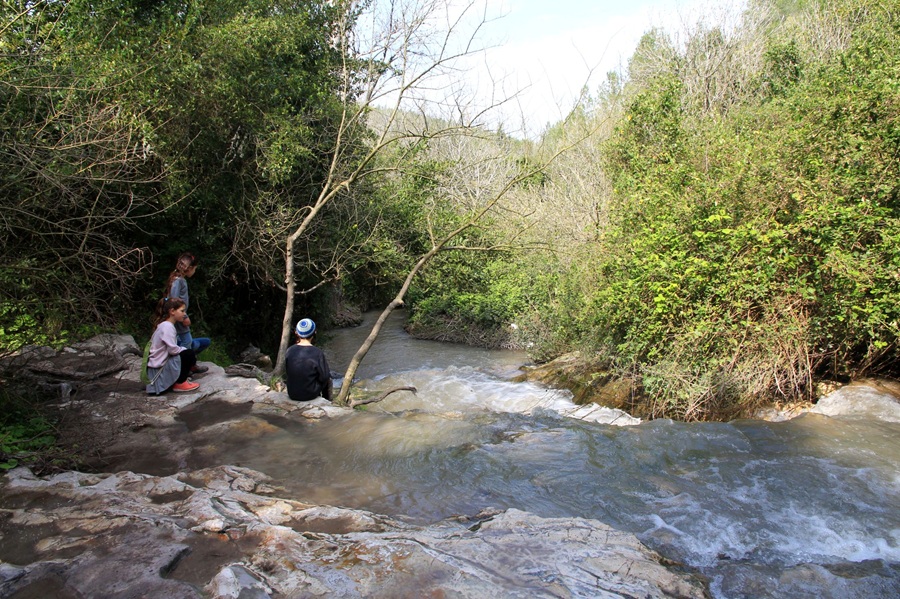 שביל סובב נחל השופט - מסלולי טיולים | קרן קימת לישראל